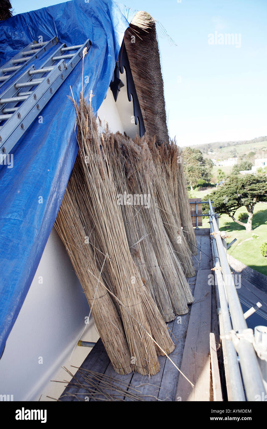 Roof thatching in progress Stock Photo - Alamy