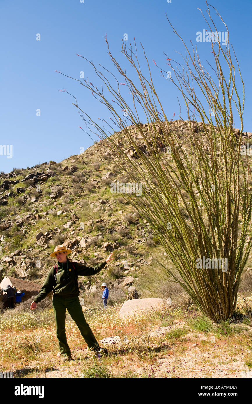 Joshua Tree National Park California park ranger talking about ...