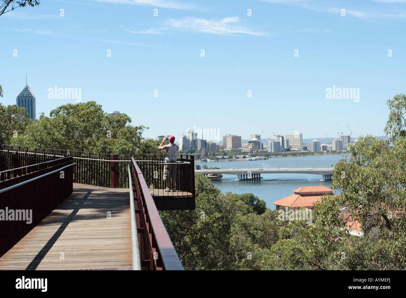 Elevated walkway at Kings Park in Perth, Western Australia Stock Photo ...