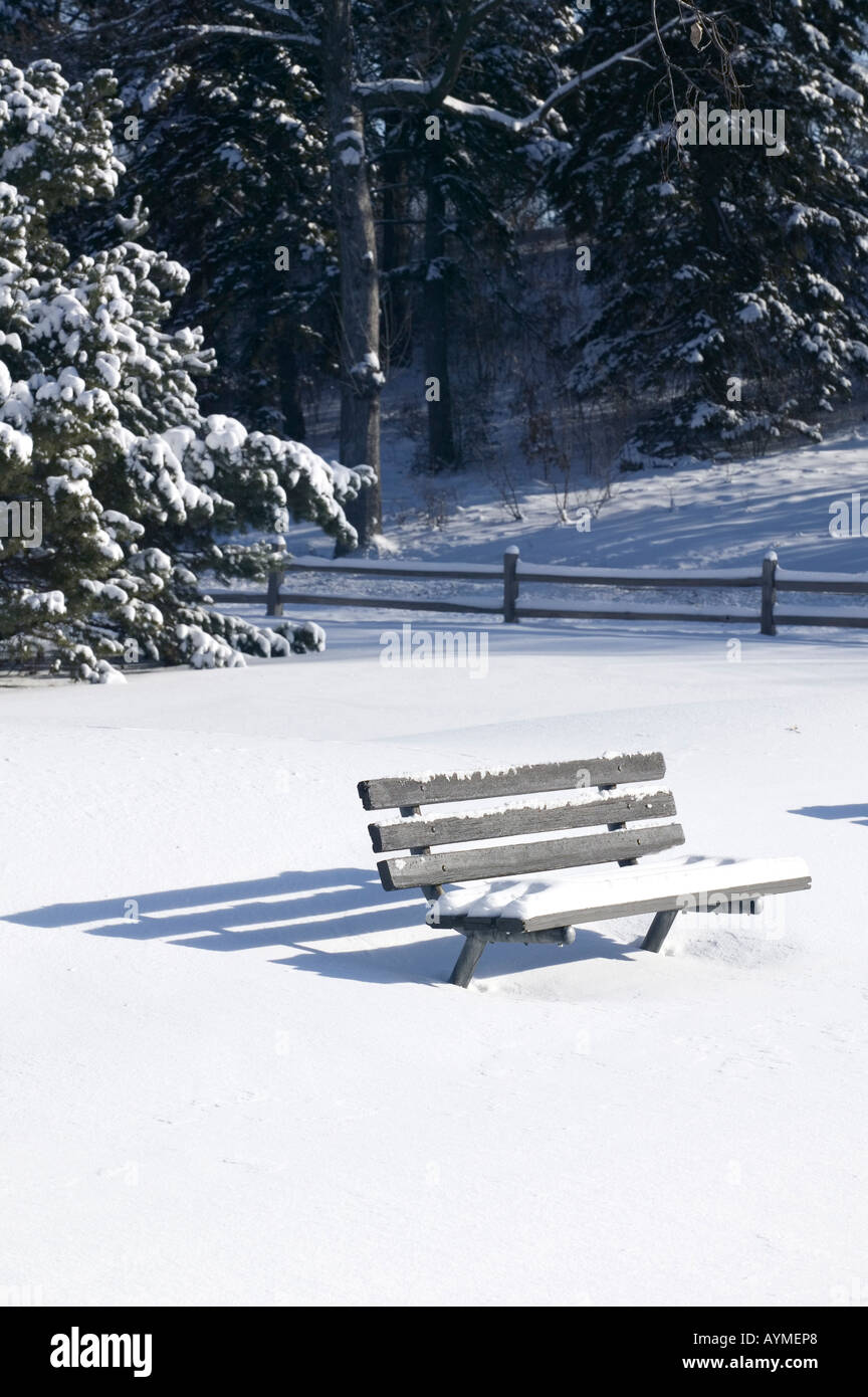 Bench covered with snow in Theodore Wirth Park, Minneapolis, Minnesota ...