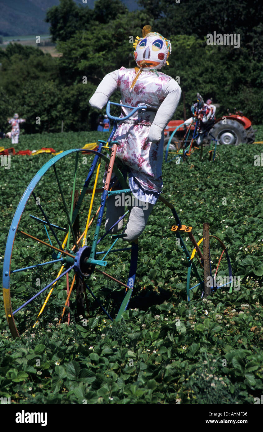 Cycling scarecrow hi-res stock photography and images - Alamy