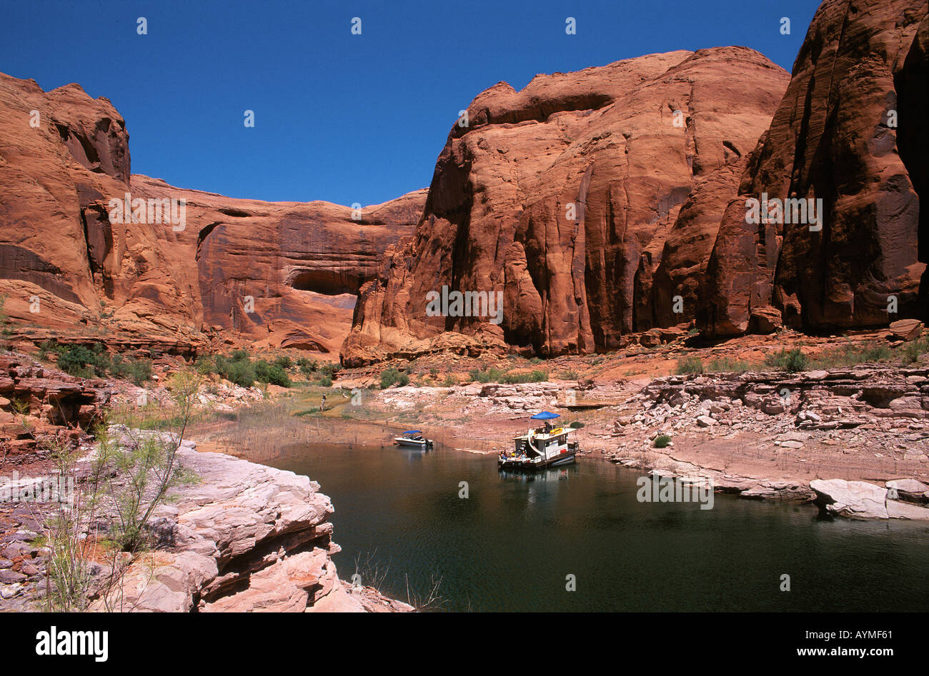 A HOUSE BOAT at anchor in LLEWELLYN GULCH in LAKE POWELL NATIONAL ...