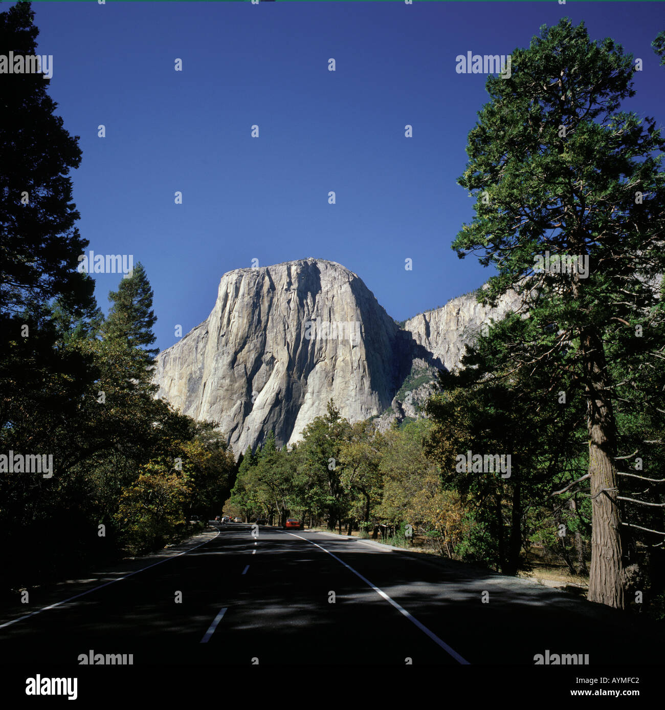 The massive face of EL CAPITAN rises obove the road into YOSEMITE ...