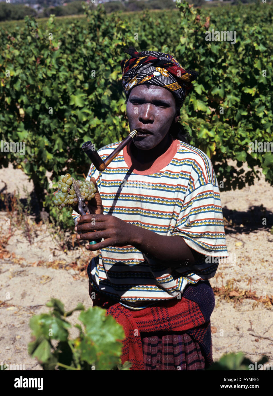Woman female pipe smoker hi-res stock photography and images - Alamy
