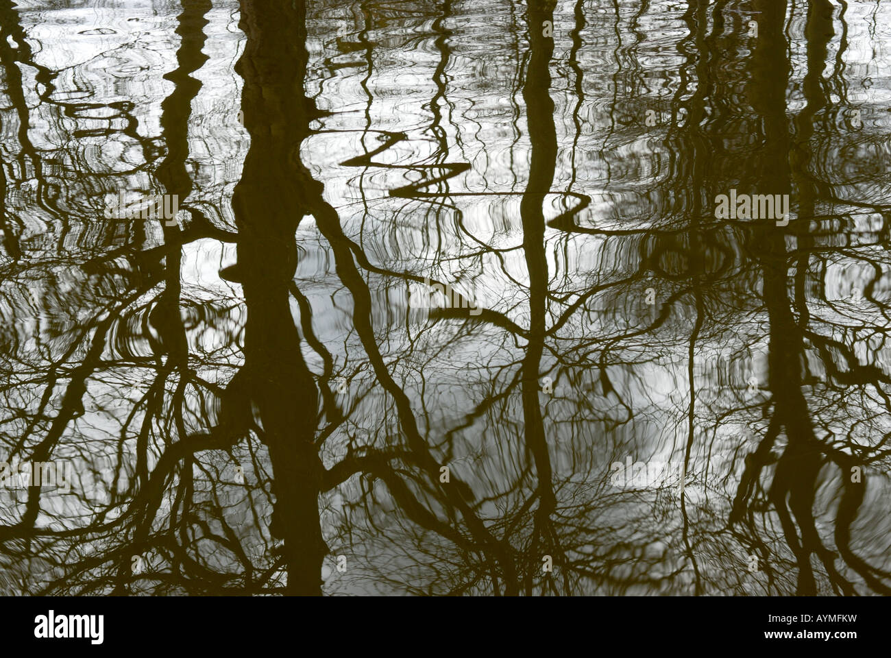 Spooky lake scandinavia hi-res stock photography and images - Alamy