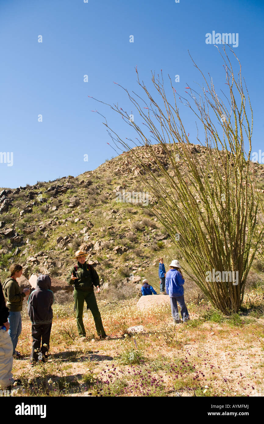 Joshua Tree National Park, California; park ranger talking about ...