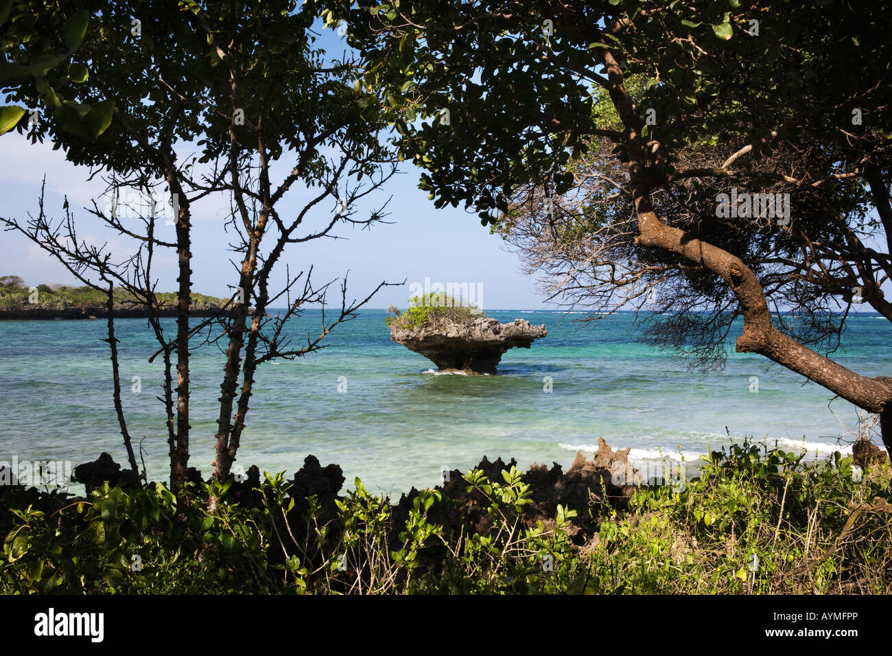 coral reef rock out of the water in the beautiful chale island near ...