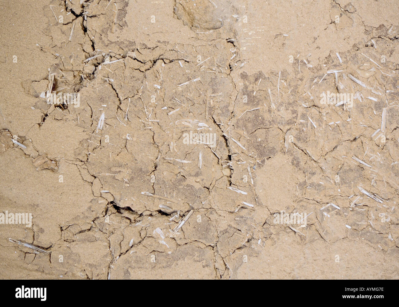 Shape of Ground Stock Photo - Alamy