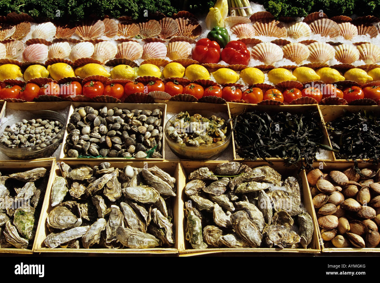 seafood display outside a restaurant in central Brussels Stock Photo ...