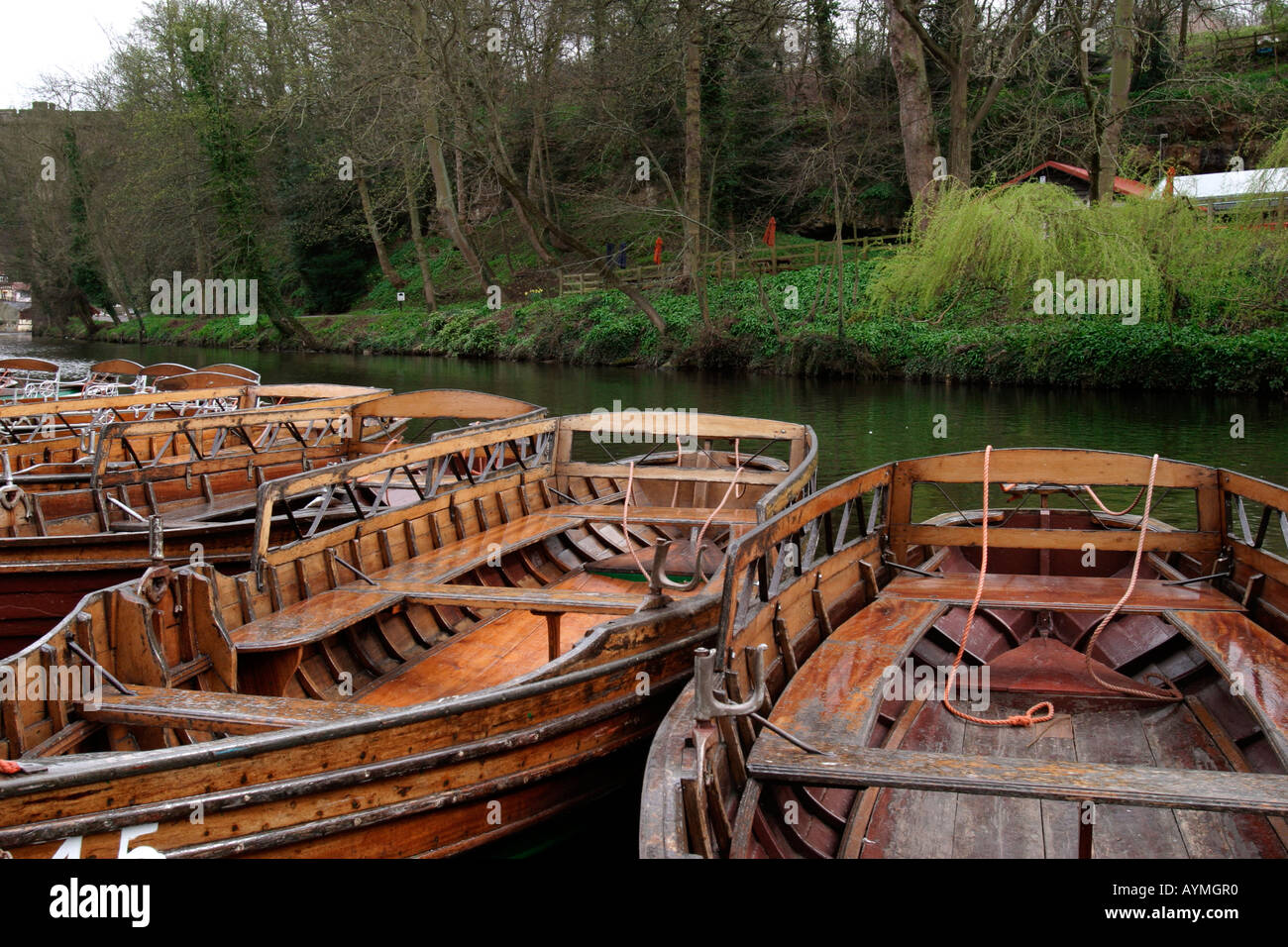 Rowing boats moored on River Nidd Knaresborough North Yorkshire Stock ...