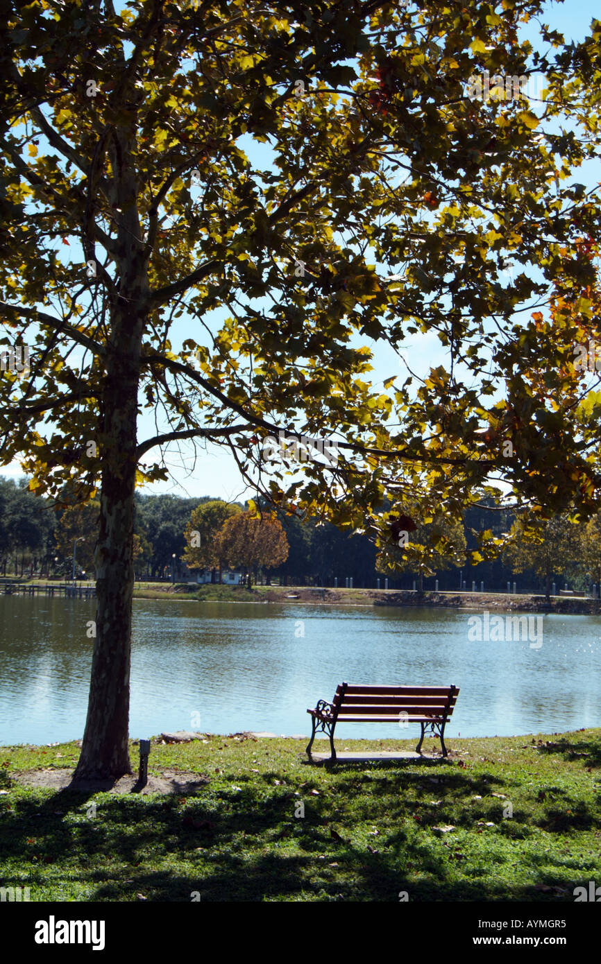 Lake Dora central Florida USA. A park bench on the waterside Stock ...
