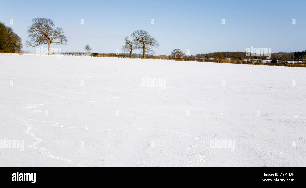 Rural norfolk hi-res stock photography and images - Alamy