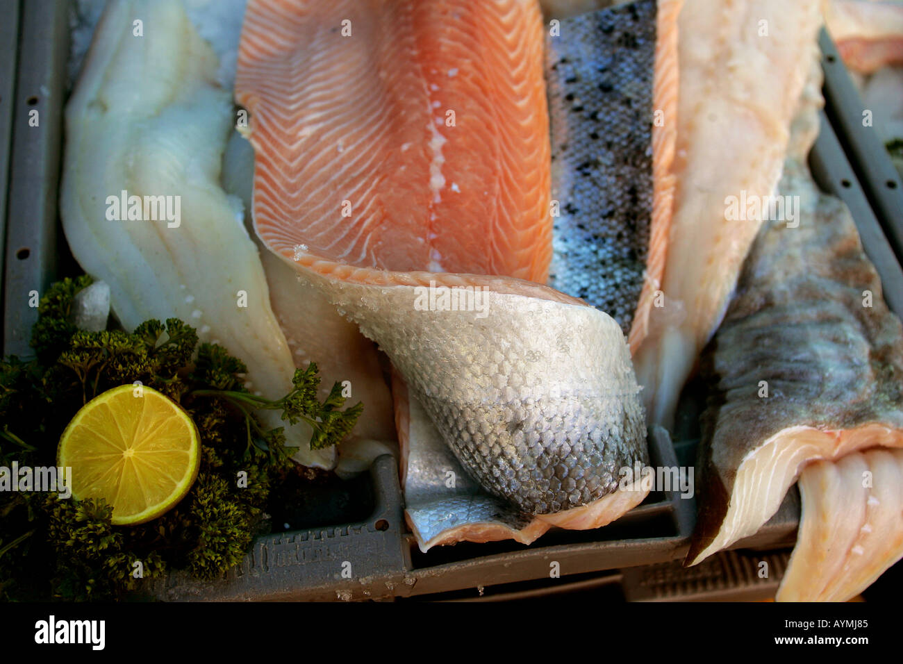 Devon fish market hi-res stock photography and images - Alamy