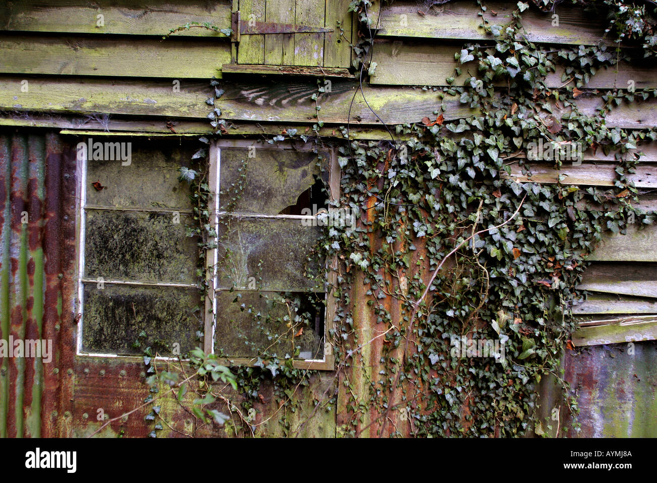 Shed Falling Down High Resolution Stock Photography and Images - Alamy