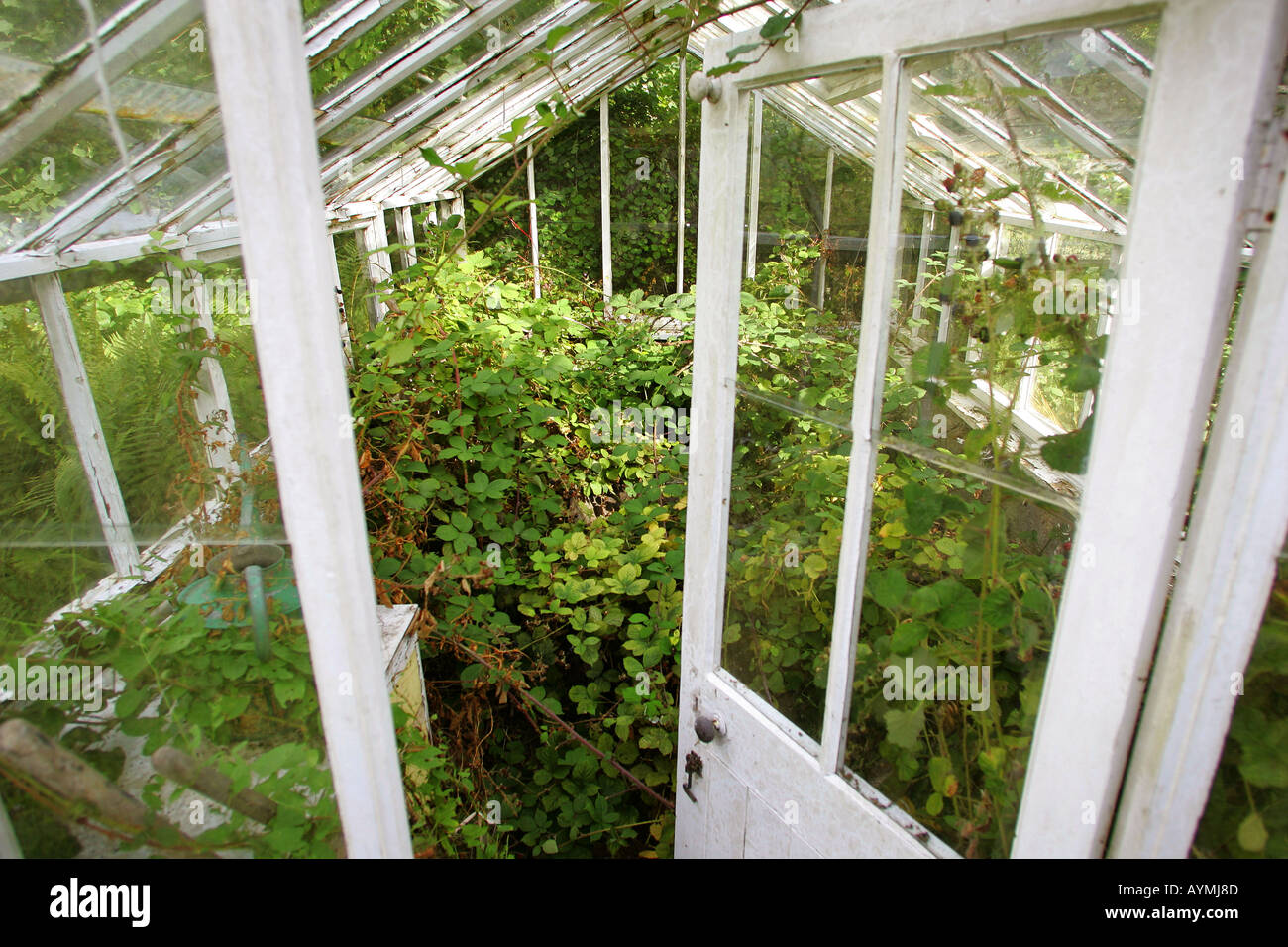 Overgrown greenhouse hi-res stock photography and images - Alamy