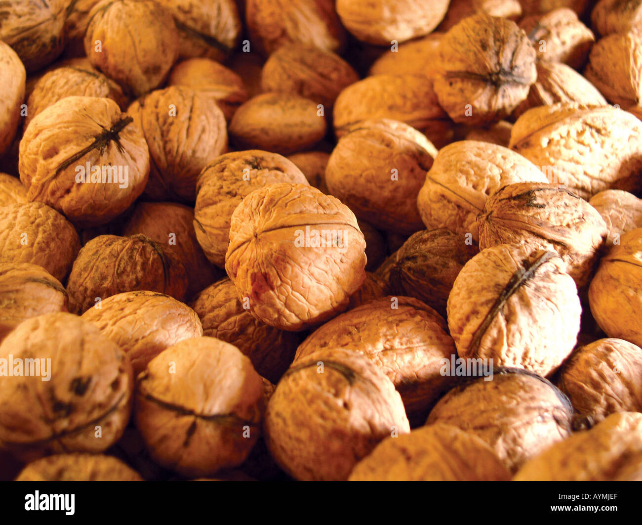 Nahaufnahme walnuss hi-res stock photography and images - Alamy
