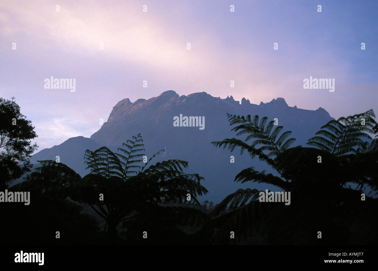 Sabah view on Mt Kinabalu Stock Photo - Alamy
