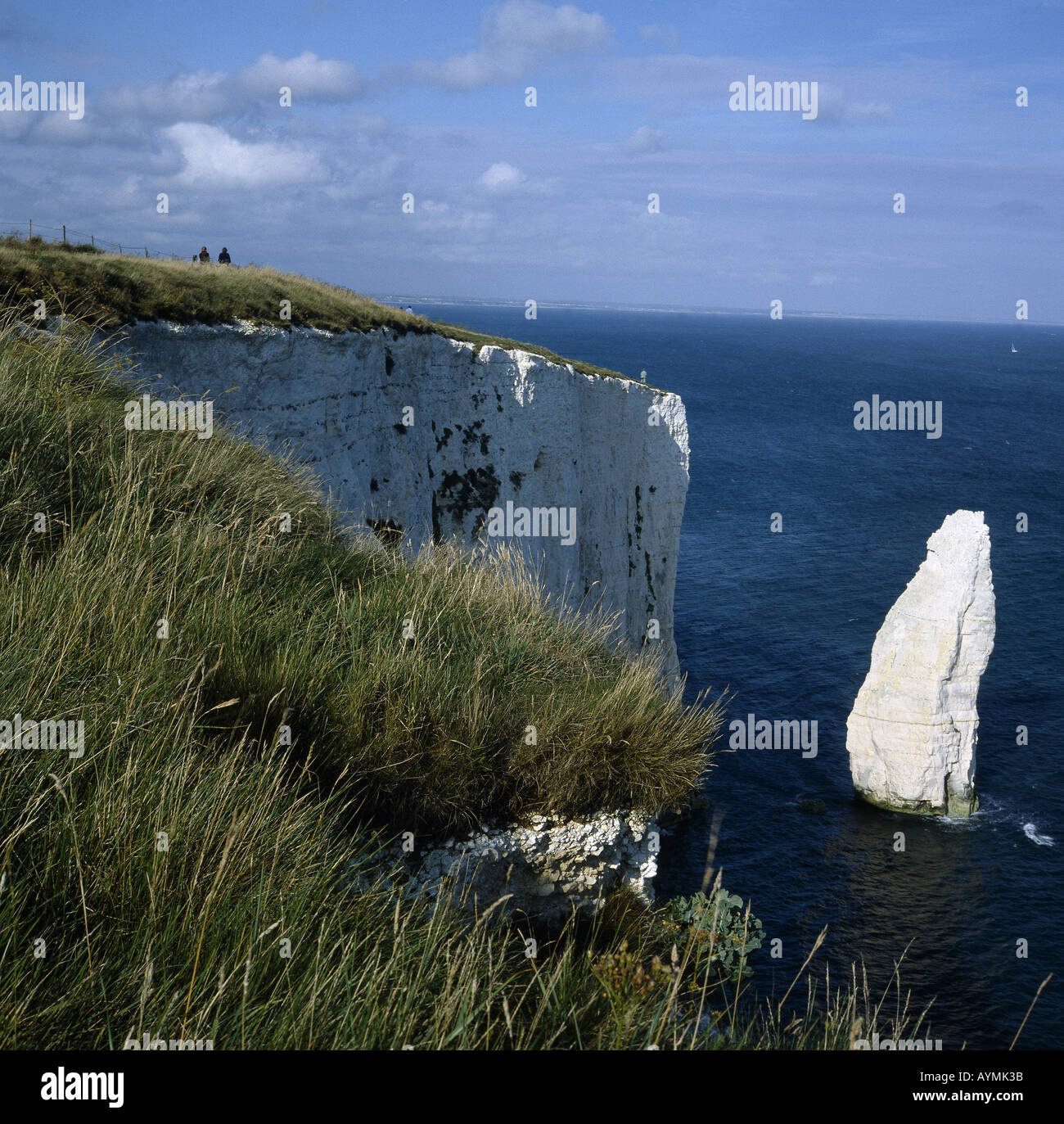 Old Harry Rocks in der Naehe von Bournemouth England Stock Photo - Alamy