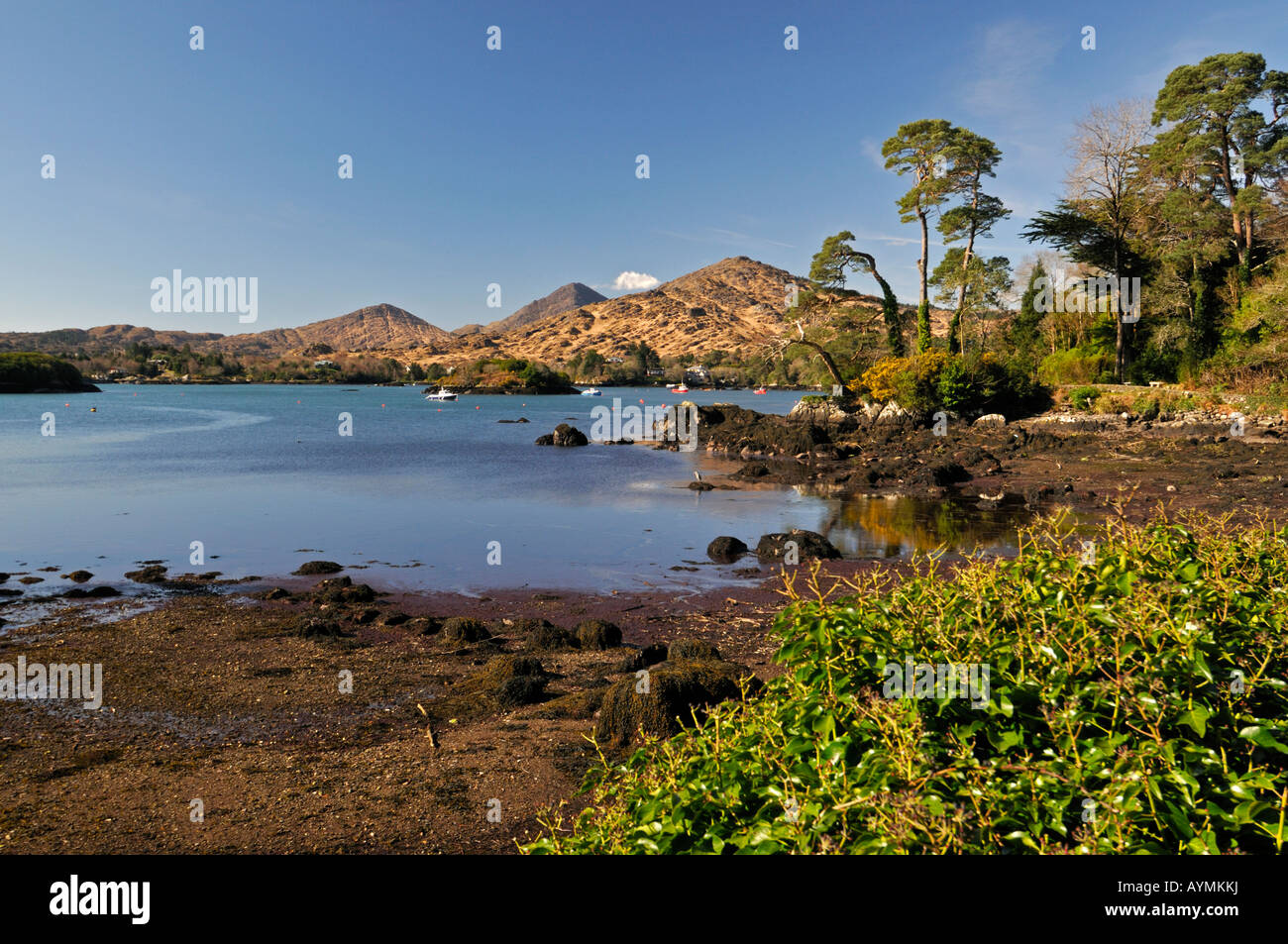 Rugged coastal scenery and blue sky along the beara peninsula west cork ...