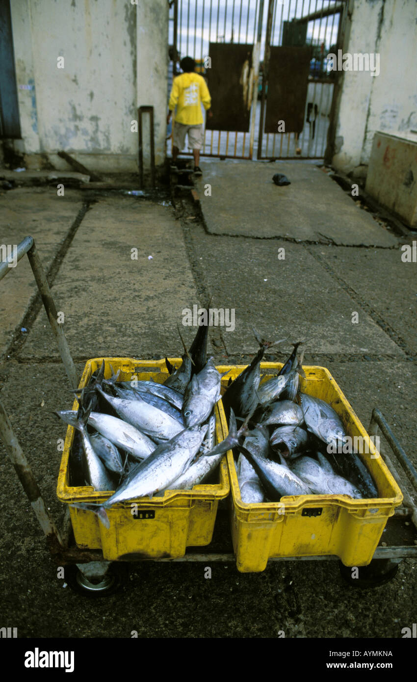 Sabah fresh fish in Kota Kinabalu Stock Photo - Alamy