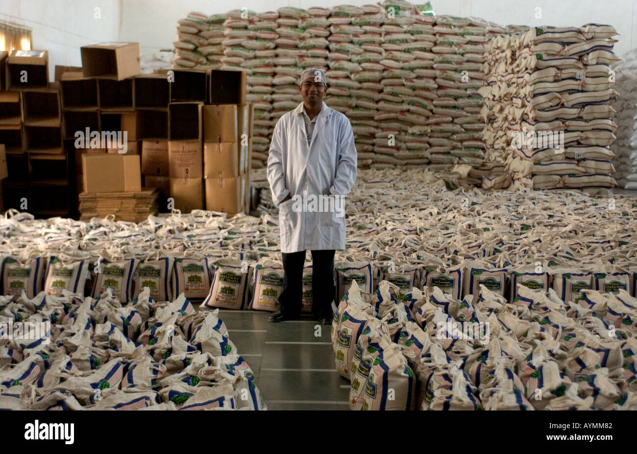 Rice worker in rice processing plant, northern India. Rice here is ...