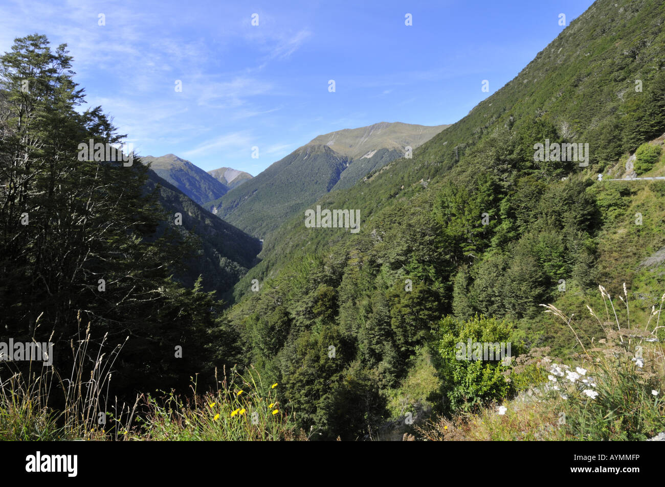 Lewis Pass South Island New Zealand Stock Photo - Alamy