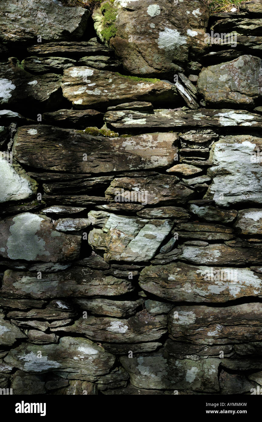 Lichen and moss covered dry limestone wall typical of connemara and the ...