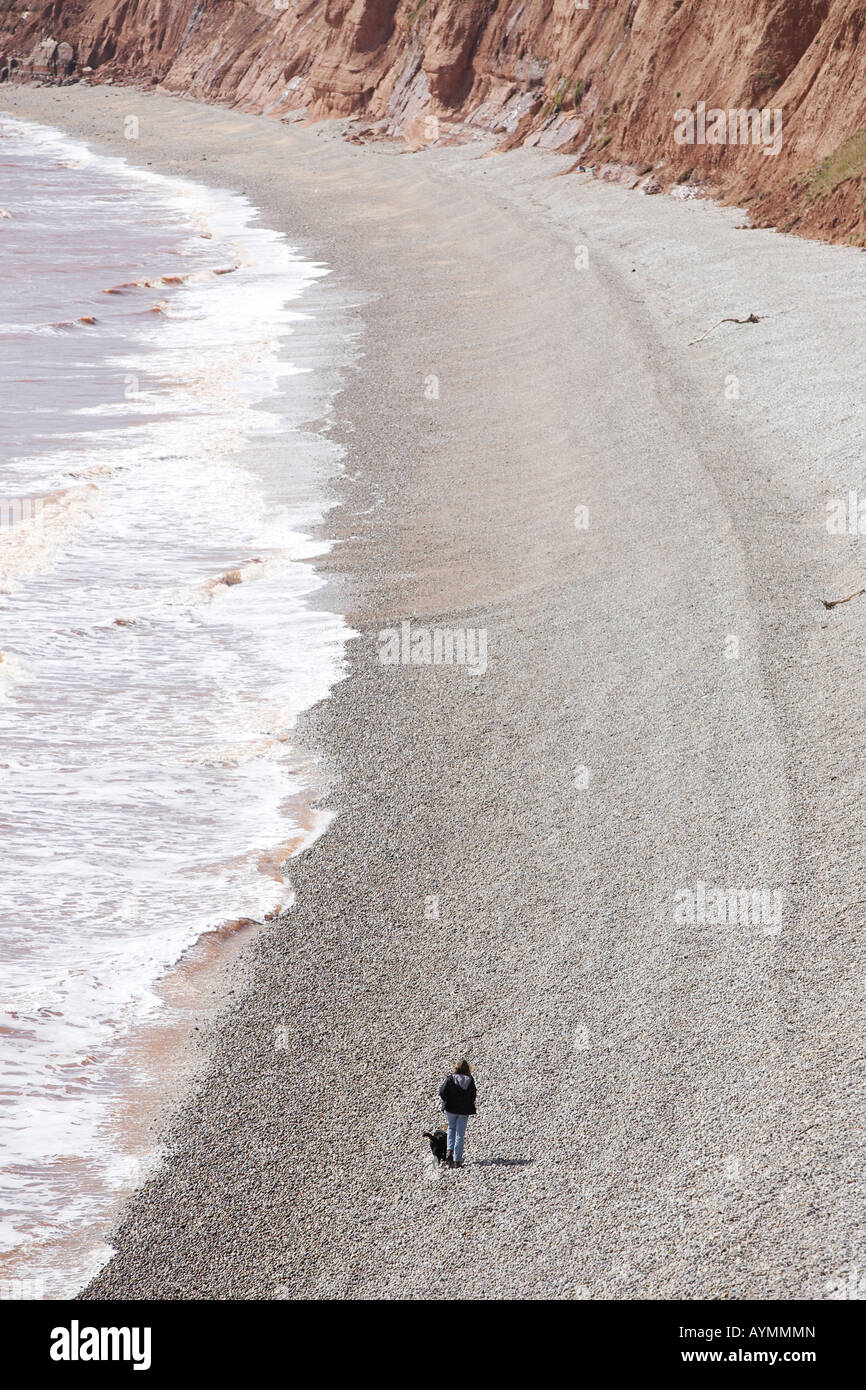 Dog walker on the beach Stock Photo - Alamy