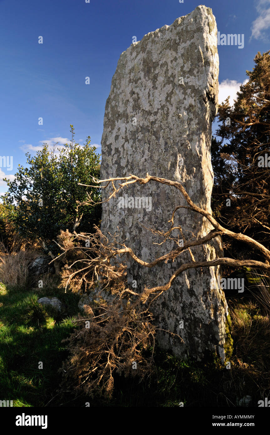 Dramatic view of Leitrim Beg standing stone menhir under a clear blue ...