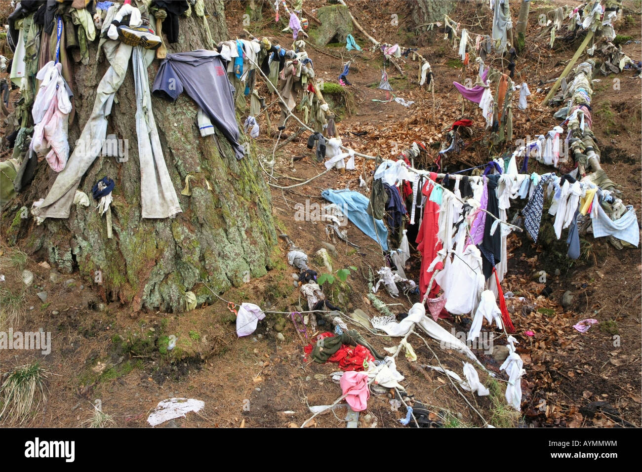 Rags on trees hi-res stock photography and images - Alamy