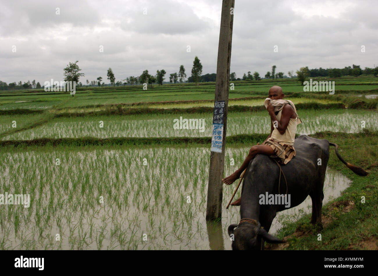 Monsoon season in the South Eastern Tarai plains which stretch the ...