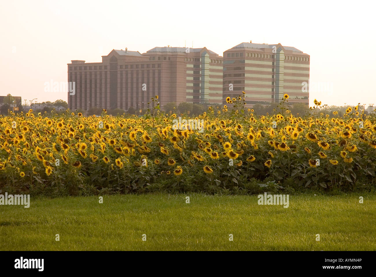 Rural Office Building Stock Photo - Alamy