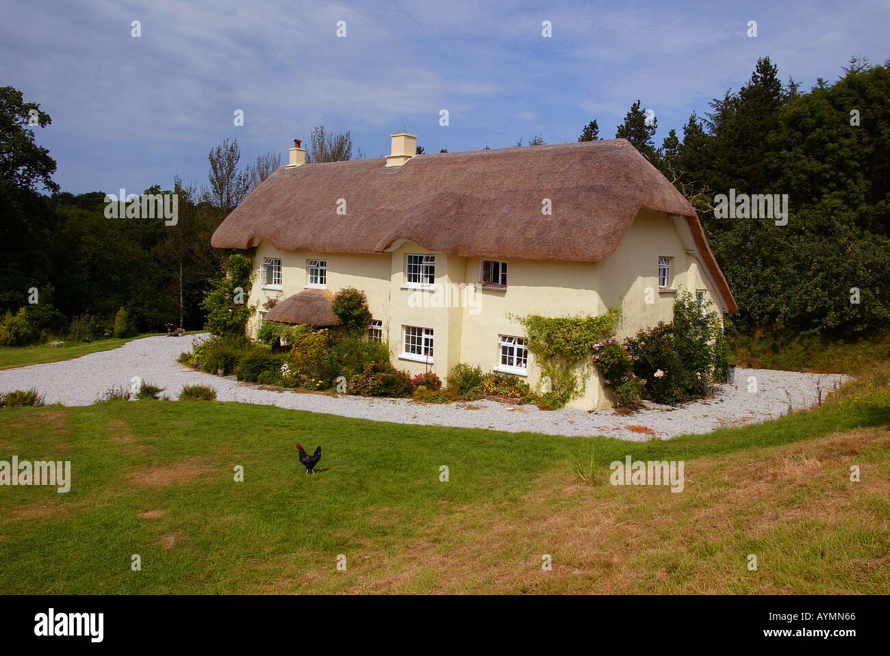 Cottage in Devon UK Stock Photo - Alamy
