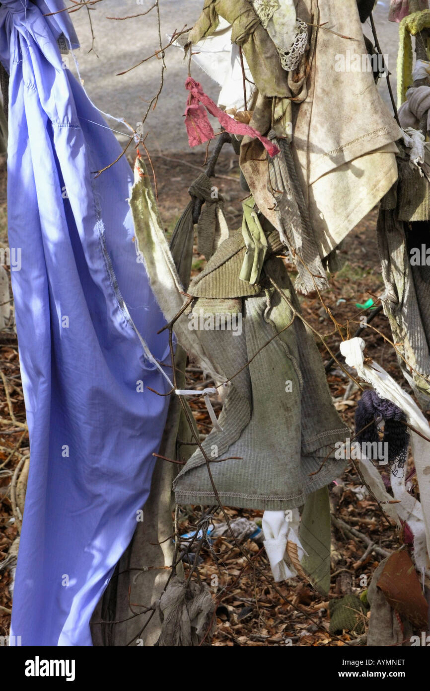 Cloths, rags hanging from trees at the clootie well near Munlochy on ...