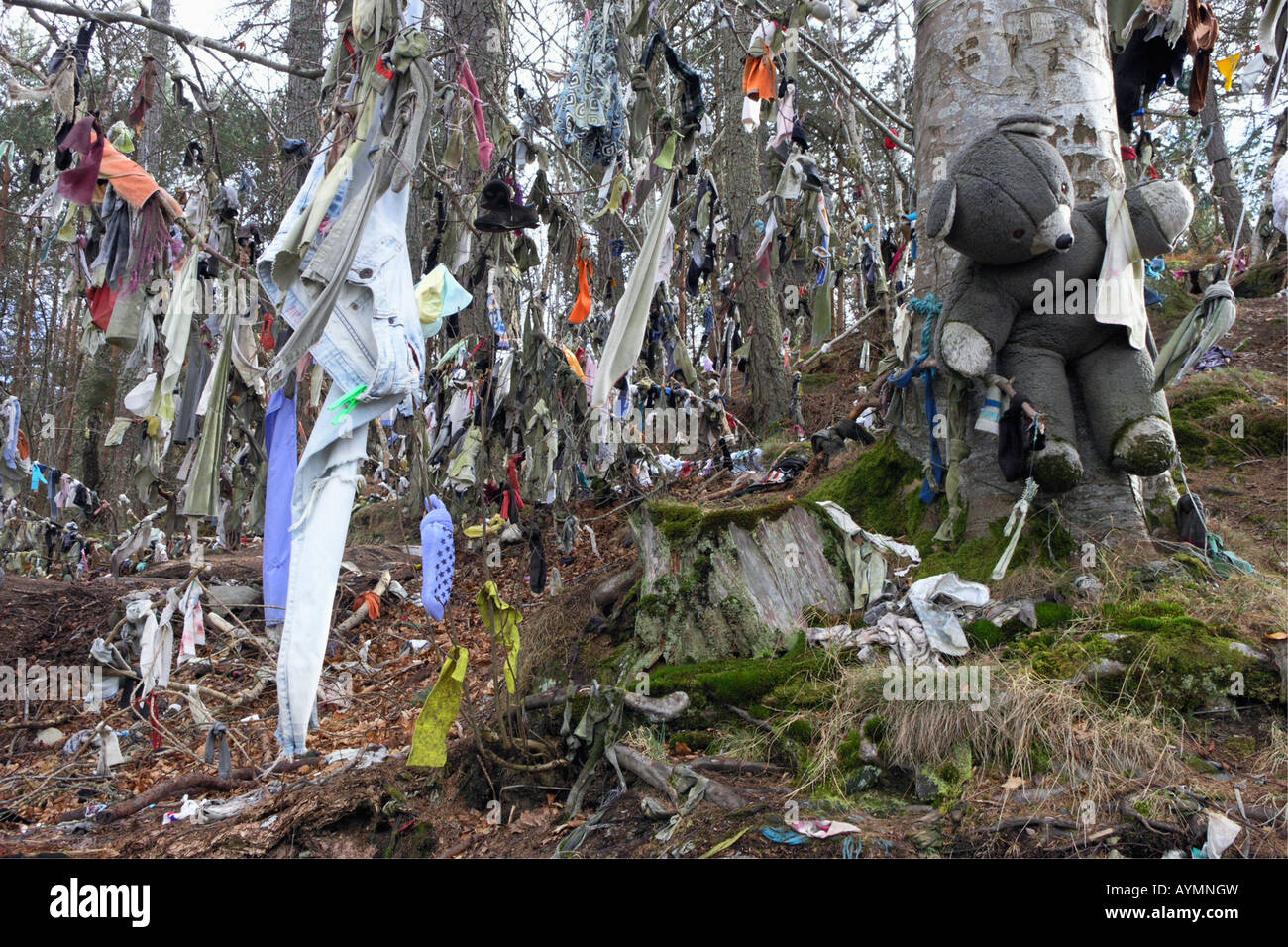 Clootie well hi-res stock photography and images - Alamy