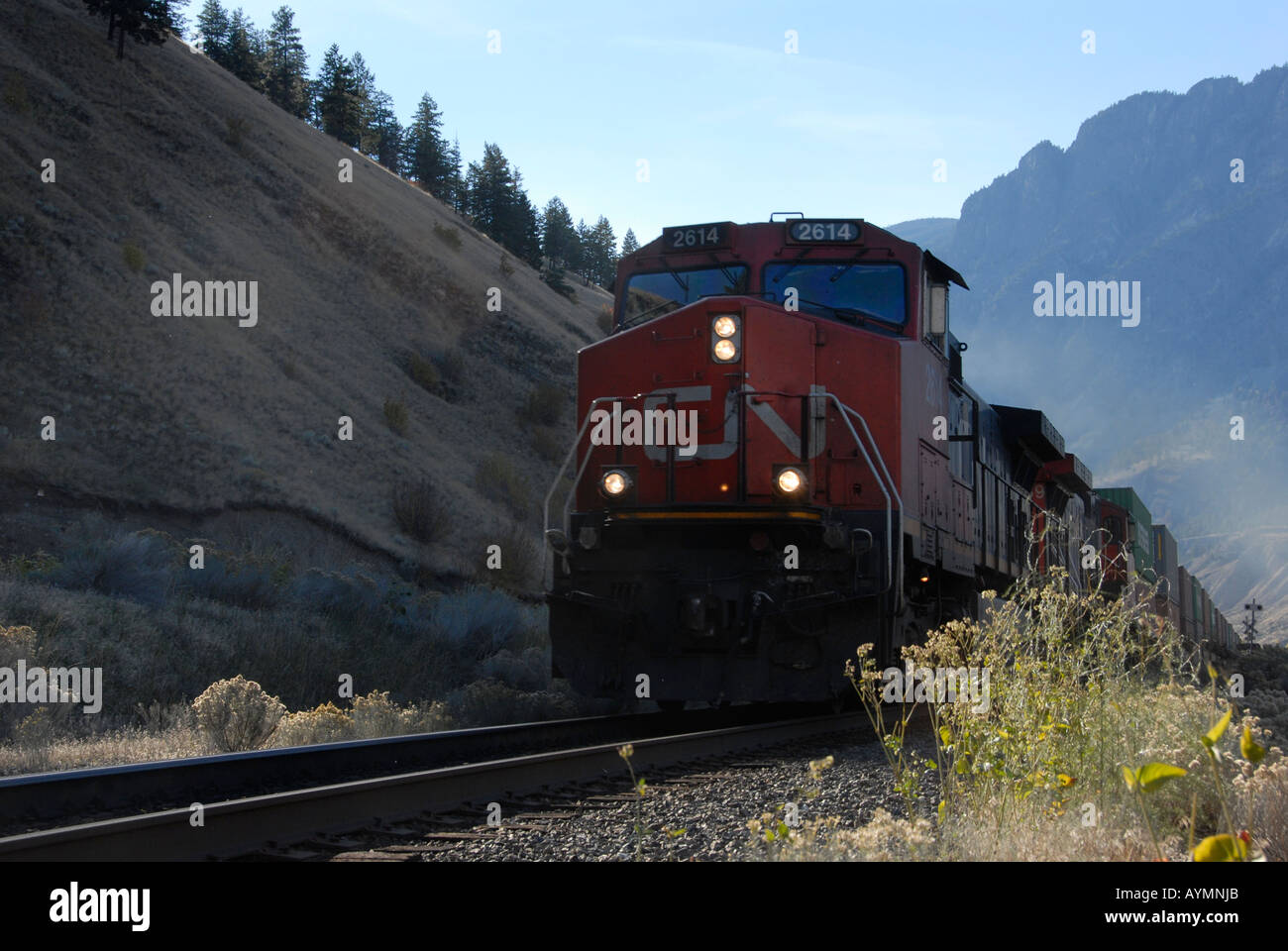 Diesel freight train hi-res stock photography and images - Alamy