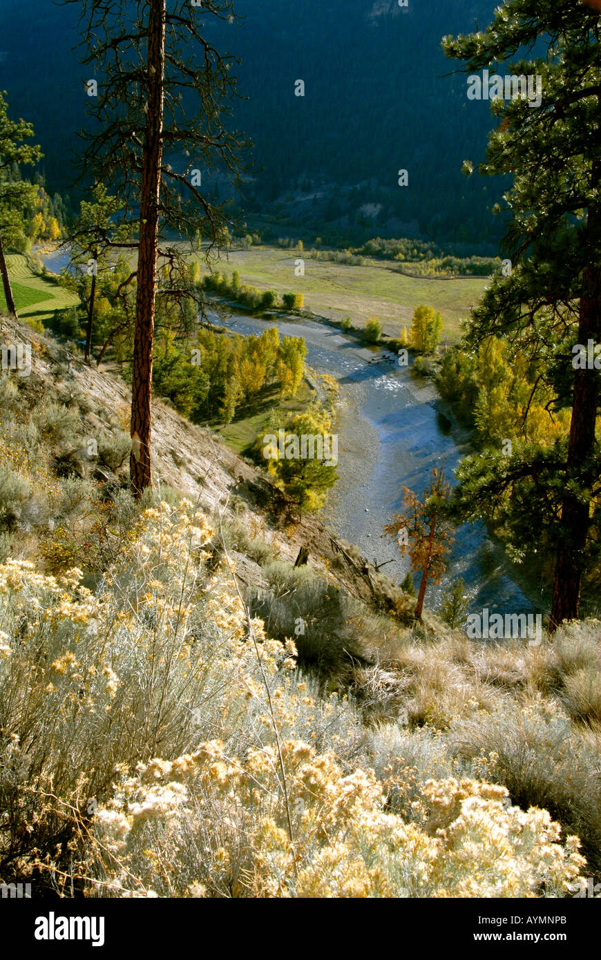 Nicola Valley and Nicola River British Columbia Canada Stock Photo - Alamy