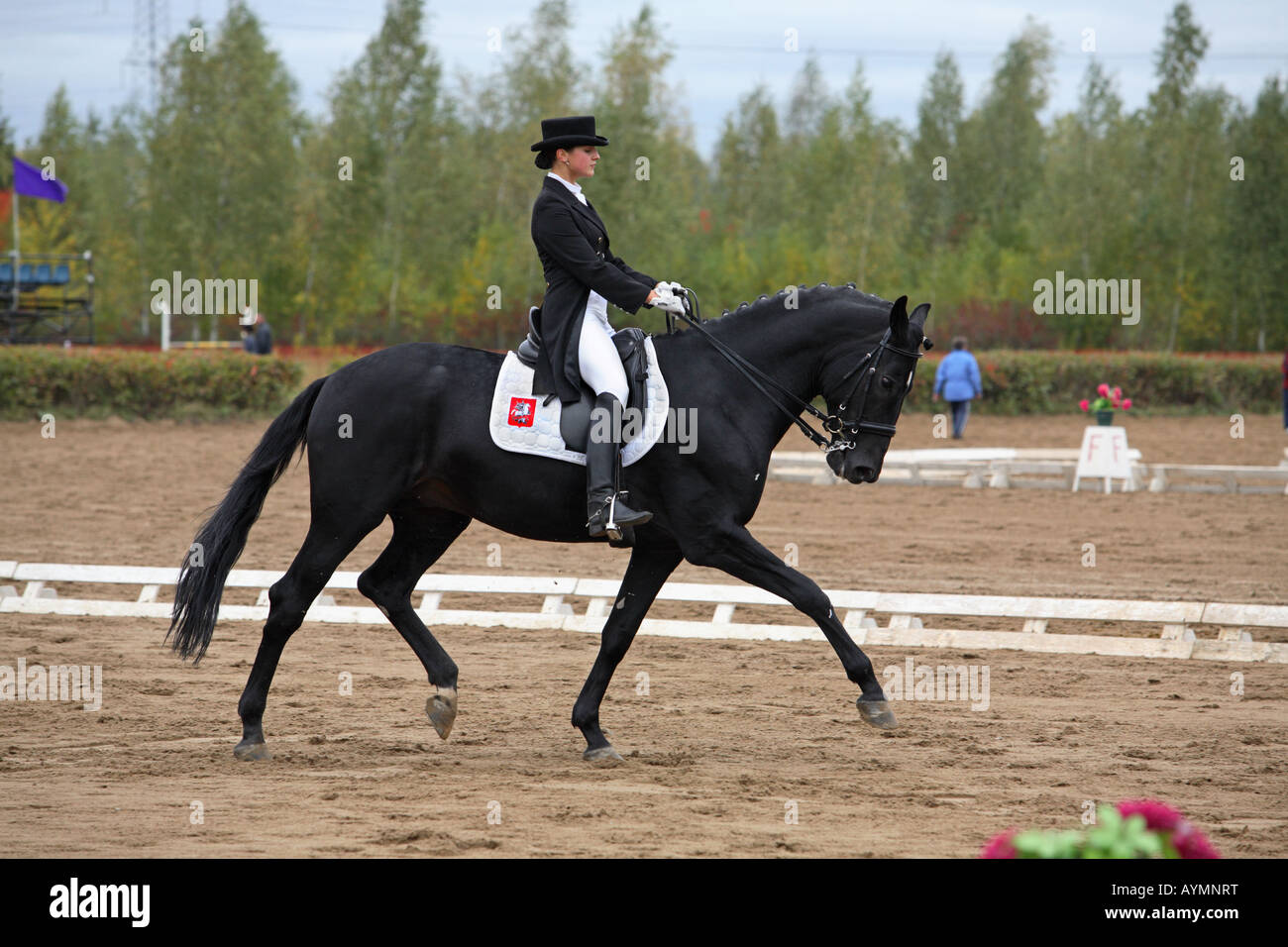 Equine Manege High Resolution Stock Photography and Images - Alamy
