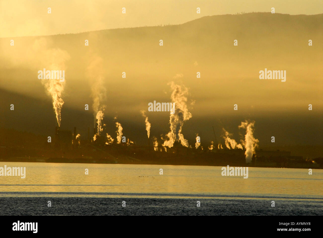 British pulp hi-res stock photography and images - Alamy