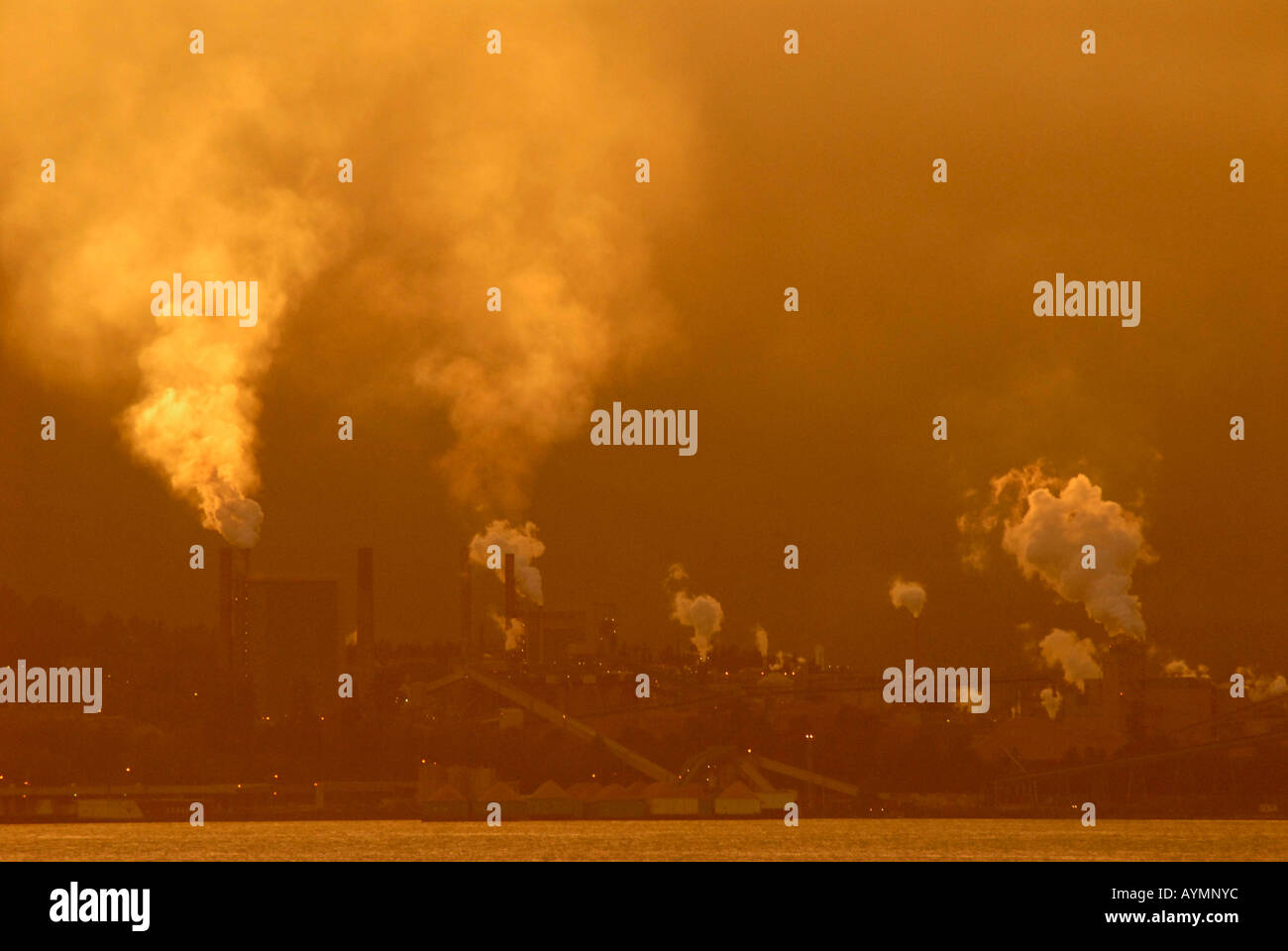 British pulp hi-res stock photography and images - Alamy