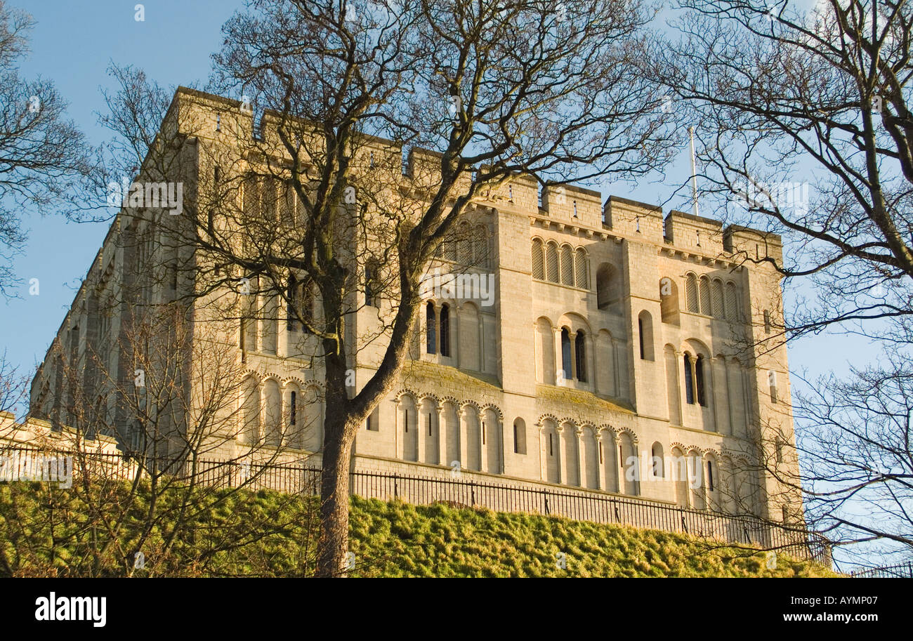 Norwich castle museum hi-res stock photography and images - Alamy