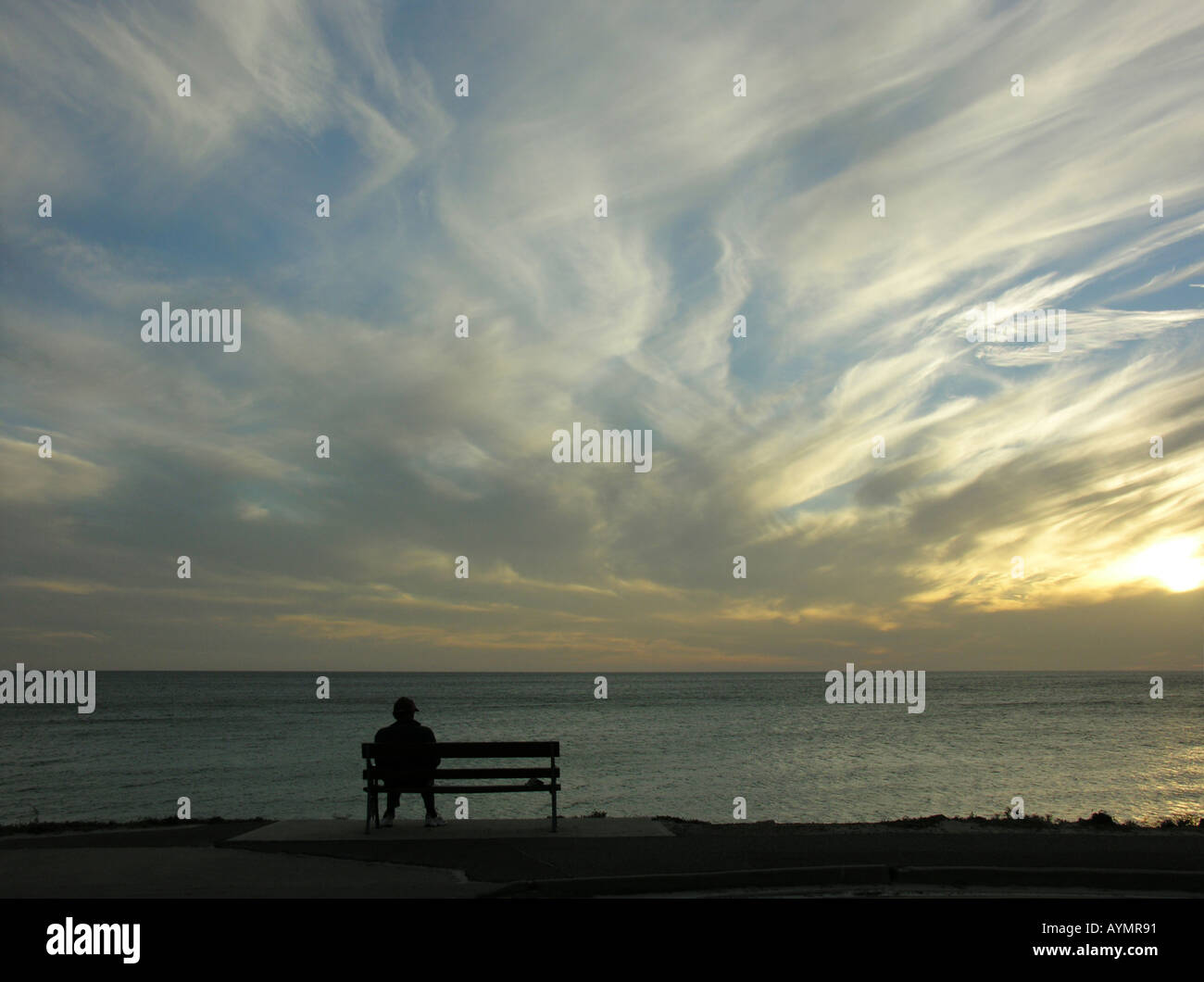 Backside man sitting on bench hi-res stock photography and images - Alamy