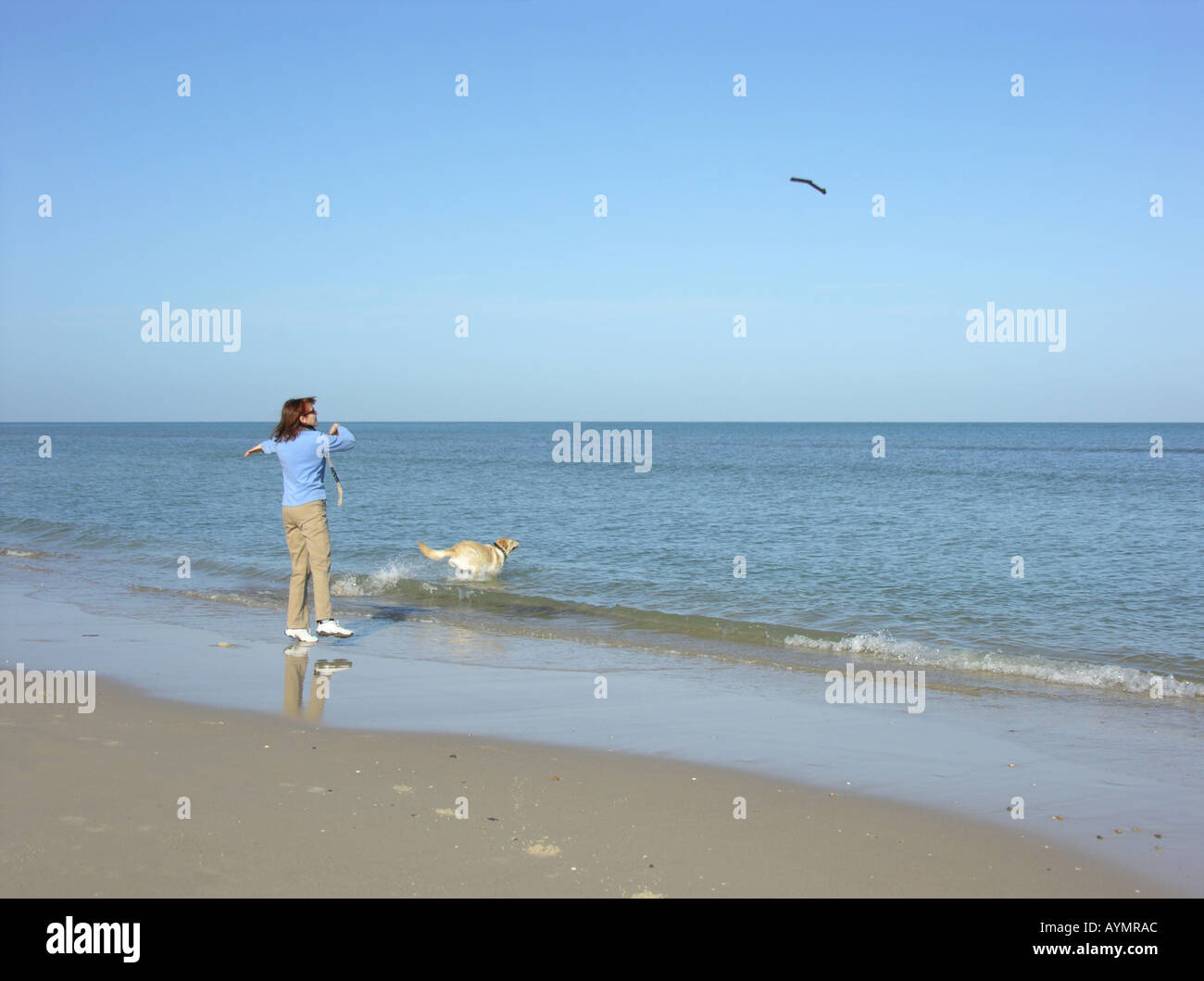 Throwing stick hi-res stock photography and images - Alamy