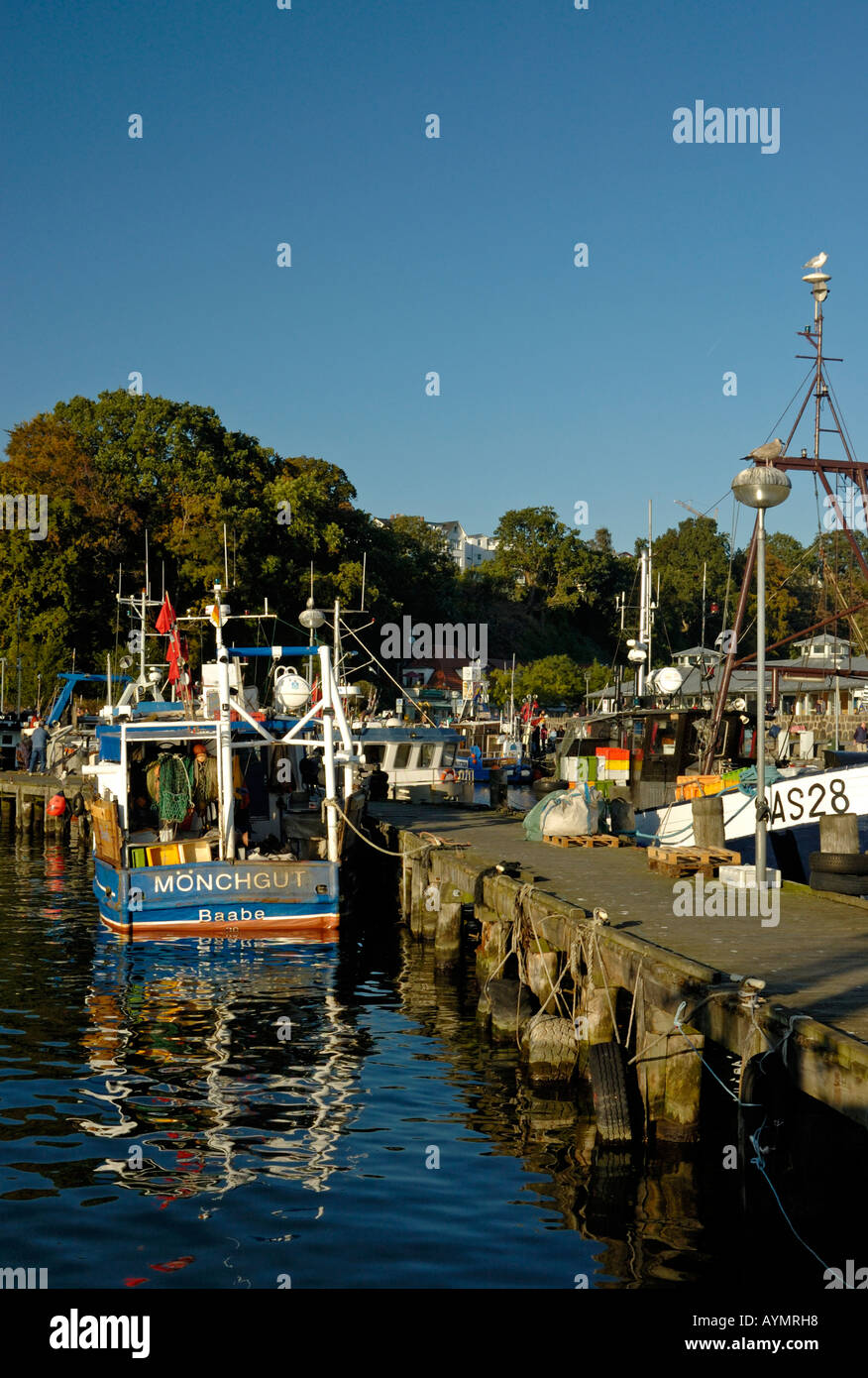 Sassnitz, Ruegen, Germany; the fishing harbour Stock Photo - Alamy