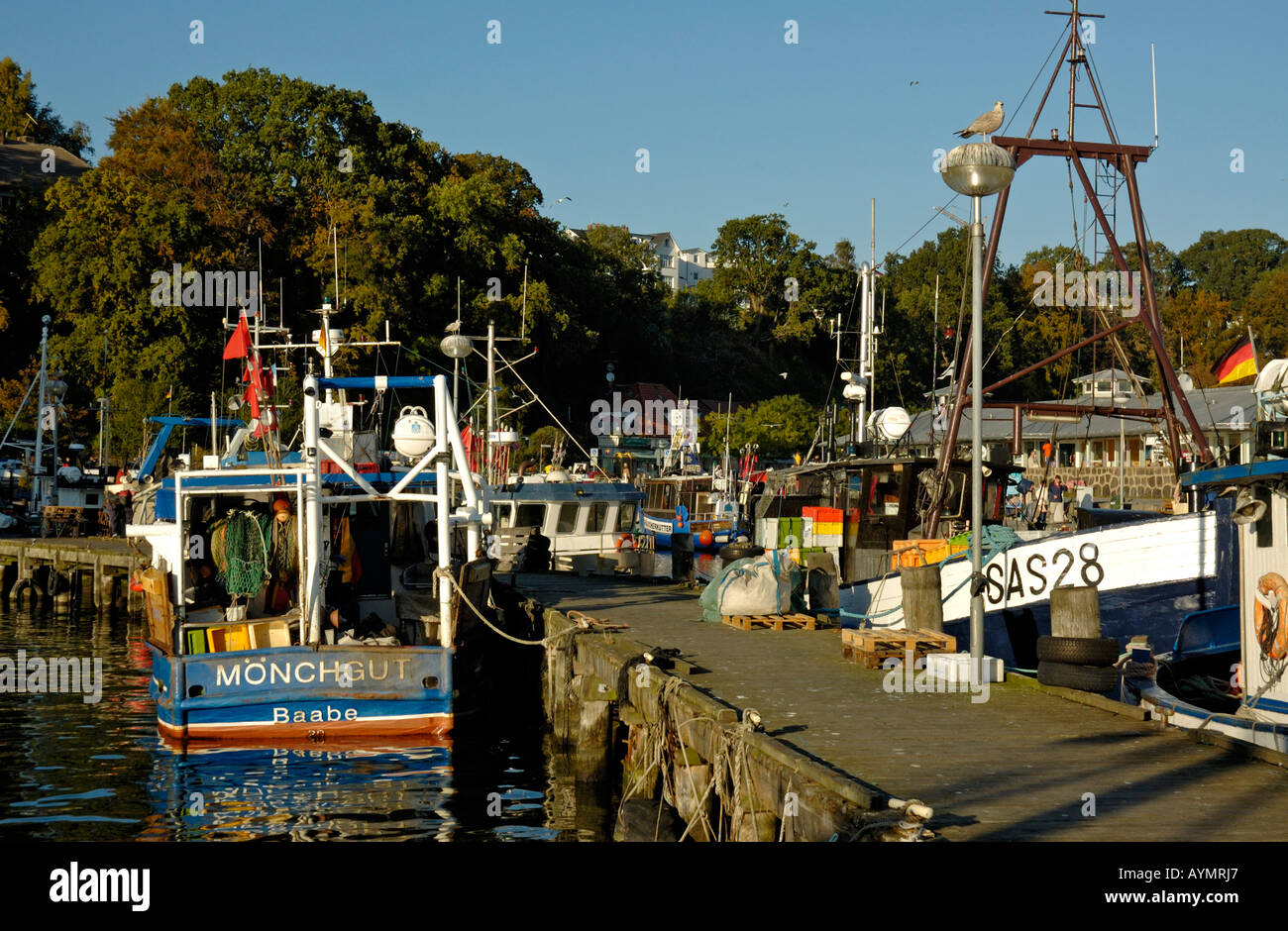 Sassnitz, Ruegen, Germany; the fishing harbour Stock Photo - Alamy