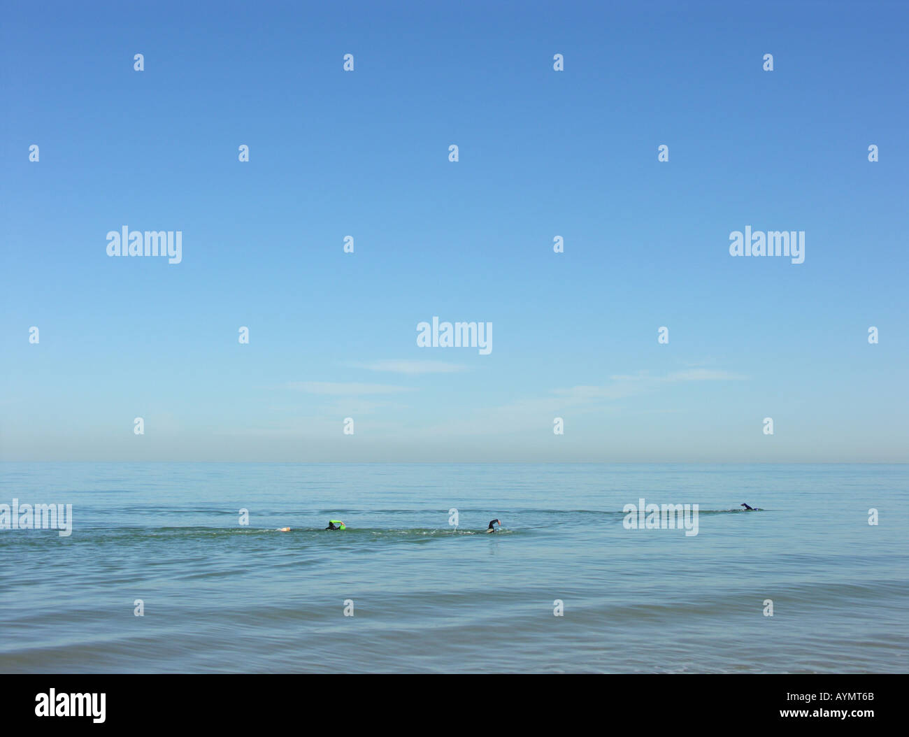 Swimmers swimming in ocean Stock Photo - Alamy