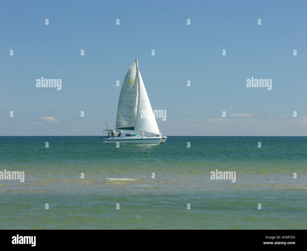 Catamaran with full sails Stock Photo - Alamy