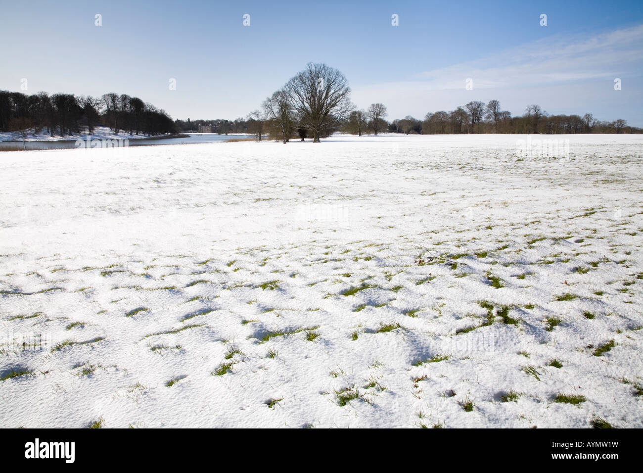 A snow covered field at Blickling in rural Norfolk England in early ...