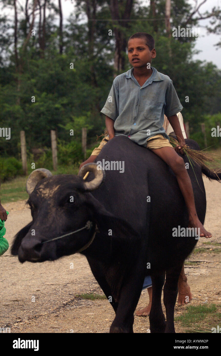 Monsoon season in the South Eastern Tarai plains which stretch the ...