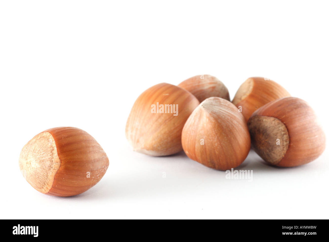 hasel nut isolated on white background, close-up Stock Photo - Alamy